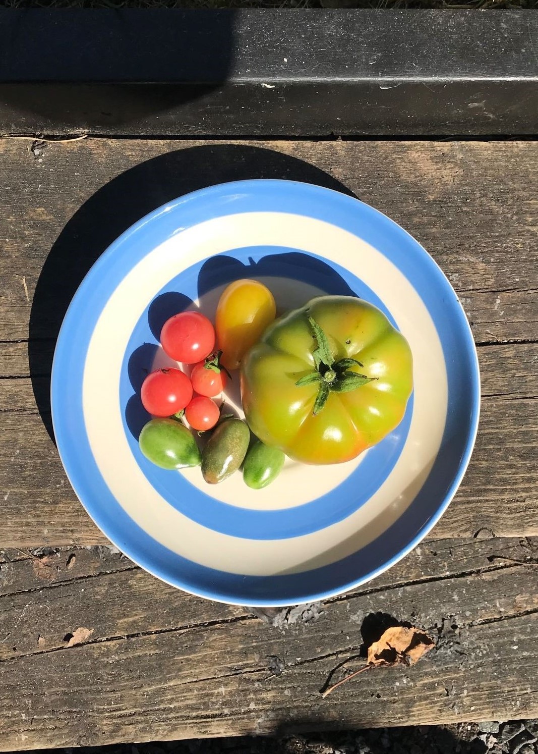 Conserving Vitamins and Minerals within your Food – MLT Nutrition